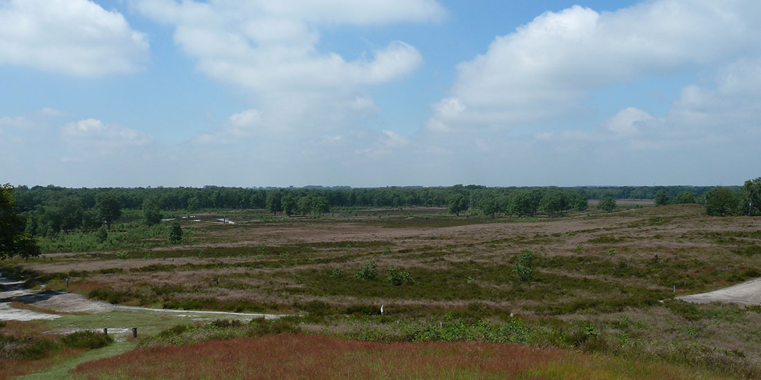 Explosieven geruimd op landgoed De Hamert – Maasland Radio